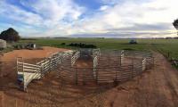 China Oval Bar 6ft High Heavy Duty Galvanized Corral Panels For Cattle Feeding for sale