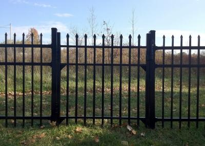 China Tubular 2100x2400mm Ornamental Steel Fence Panels Anti Rust for sale