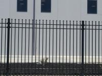China Residential Wrought Iron Steel Tubular Fencing Rustproof for sale