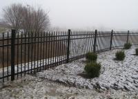 China 6ftx8ft Steel Tubular Fencing for sale