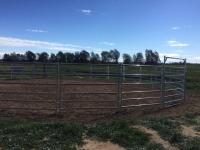 China Q235 Steel Cattle Yard Panels , 1.6x2.1m Portable Horse Stall Panels for sale