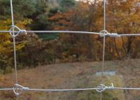 China 2.0mm Dia Galvanized Fixed Knot Wire Farm Fencing for sale