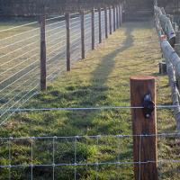China 100m Width Animal Wire Fencing , 1.8mm Diameter Wire Cattle Panels for sale