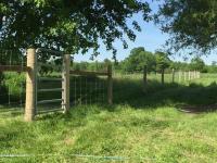 China 1.2m Height Hot Dip Galvanized Wire Cattle Fencing 200m Length for sale
