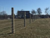 China 1.2m Height Hot Dip Galvanized Wire Cattle Fencing 200m Length for sale