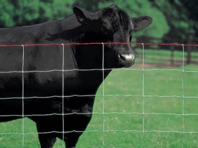 China ISO-2001 1.2m Height Wire Cattle Fencing With High Tensile for sale