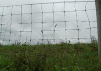 China Iron 50m Long Woven Wire Cattle Fencing No Rust for farm for sale