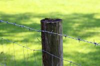 China Iron 50m Long Woven Wire Cattle Fencing No Rust for farm for sale