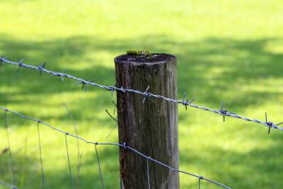China Iron 50m Long Woven Wire Cattle Fencing No Rust for farm for sale