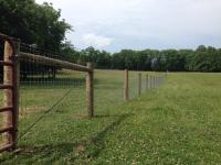 China 1.5m Height Wire Cattle Fencing Galvanized Heavy Duty for sale