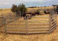 China Heavy Duty Galvanized Odm Portable Corral Panels 1.8*3.37m for sale