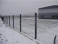 China PE Coated Green RAL6005 Welded Wire Mesh Fencing For Garden Protection for sale