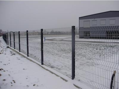 China CE Iron Powder Coated 5ft High Welded Wire Mesh Fencing For Garden for sale