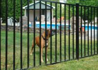 China 3mm Thickness 8foot Width Steel Tubular Fencing For Swimming Pool Security for sale