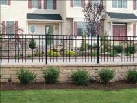 China Galvanized Decorative Garden Wrought Iron Picket Fence for sale