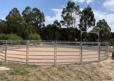 China 6 Bar Welded Utility Demountable 1.8m High Galvanized Cattle Panels for sale