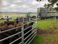 China Odm Portable 1.0mm Thick Heavy Duty Galvanized Corral Panels 1.8x3.37m for sale