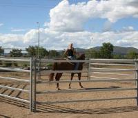 China 6 Bar Hdg Cattle Yard Panels Round Tube / Square Tube for sale