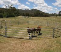 China 6 Bar Hdg Cattle Yard Panels Round Tube / Square Tube for sale