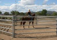China Steel 10ft Tall Horse Round Yard Panels With Powder Coated for sale