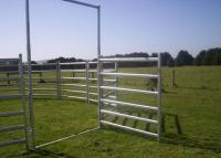 China Steel 10ft Tall Horse Round Yard Panels With Powder Coated for sale