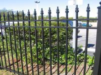 China Garden Permanent Coating Wrought Iron Dog Fence 2.4x2m for sale