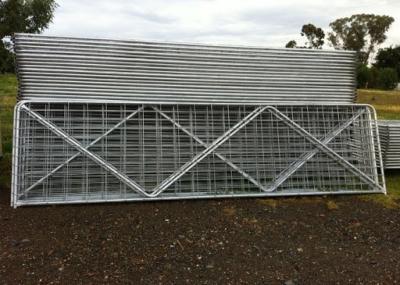 China 1m 1.17m Height Galvanized Heavy Duty Farm Gate For Australia non rusting for sale
