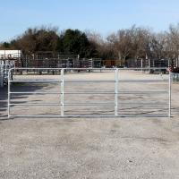 China Anti Rust Galvanized 2400x1170mm Livestock Handling Equipment for sale