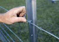China 45cm Length Galvanised Star Pickets , 2.04kg Steel Star Picket for sale