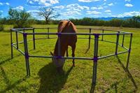 China Mobile Rot Proof 1.35m Tall Livestock Handling Equipment For horse float for sale