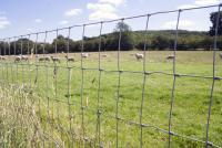 China ISO-2001 50-100m High Tensile Sheep And Goat Fence For Australia Market for sale