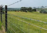 China Heavy Duty 12.5ga Wire Hot Dip Galvanized 47'' High Tensile Field Fence for sale