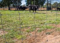 China ISO-2001 50-100m High Tensile Sheep And Goat Fence For Australia Market for sale