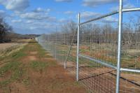 China Livestock Hot Dipped Galvanised Farm Deer Fencing 80cm High for sale