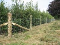 China Livestock Hot Dipped Galvanised Farm Deer Fencing 80cm High for sale