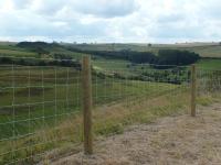 China Livestock 2.0mm Wire Cattle Fencing Hot Low Carbon Steel Q195 for sale