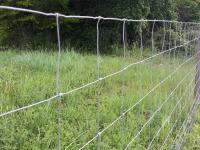 China Livestock 2.0mm Wire Cattle Fencing Hot Low Carbon Steel Q195 for sale