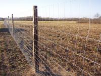 China Galvanized Fixed Knot 1.5mm Mesh Farm Fence For Deer Cattle Horse for sale