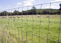 China Hot Dip Galvanized 2.5mm Hinged Knot Rural Wire Fencing 4ft for sale