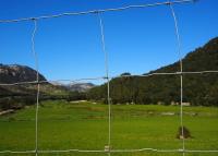 China Farm 330ft Length Roll Galvanized Steel Wire Metal Pasture Fencing 6ft for sale