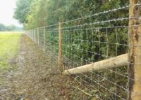 China 4 Ft 5 Ft Livestock Mesh Fencing SGS Certification for sale
