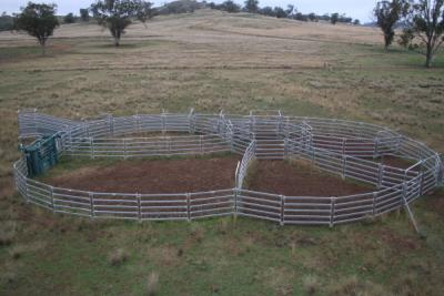 China Welded Metal 40x40mm Tube Heavy Duty Cattle Panel 2.1m Width for sale