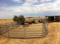 China Wrought Iron Galvanized 50x50mm Tube Heavy Duty Cattle Panel for sale