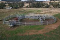 China Wrought Iron Galvanized 50x50mm Tube Heavy Duty Cattle Panel for sale