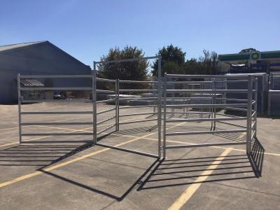 China Wrought Iron Galvanized 50x50mm Tube Heavy Duty Cattle Panel for sale