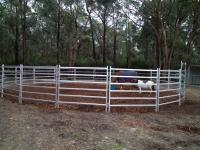 China Galvanized Steel Farm 1.8x3.37m Livestock Fencing Panels And Gates for sale