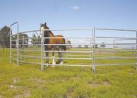 China Rot Proof Heavy Duty Cattle Panel 40x40mm Square Galvanized Tube Livestock for sale
