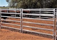 China Rot Proof Heavy Duty Cattle Panel 40x40mm Square Galvanized Tube Livestock for sale