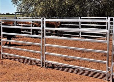 China Hdg Tube Australia 1.8m High Heavy Duty Cattle Panel With 6 Bars for sale
