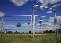 China Durable High Strength Portable 40x80mm Oval Rail Cattle Yard Gates 2.1m Width for sale